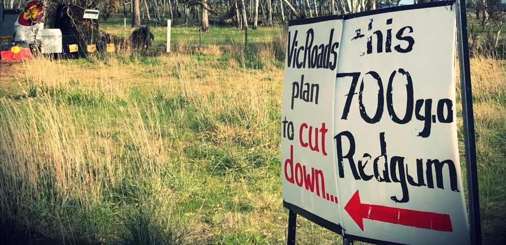 Birthing tree signs | Geomancy Australia – Heal the Earth, Heal Yourself