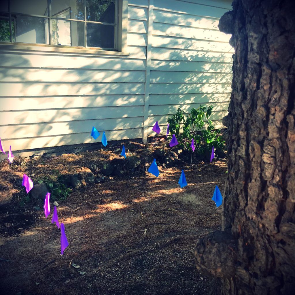 geopathic stress marked out | Geomancy Australia – Heal the Earth, Heal ...